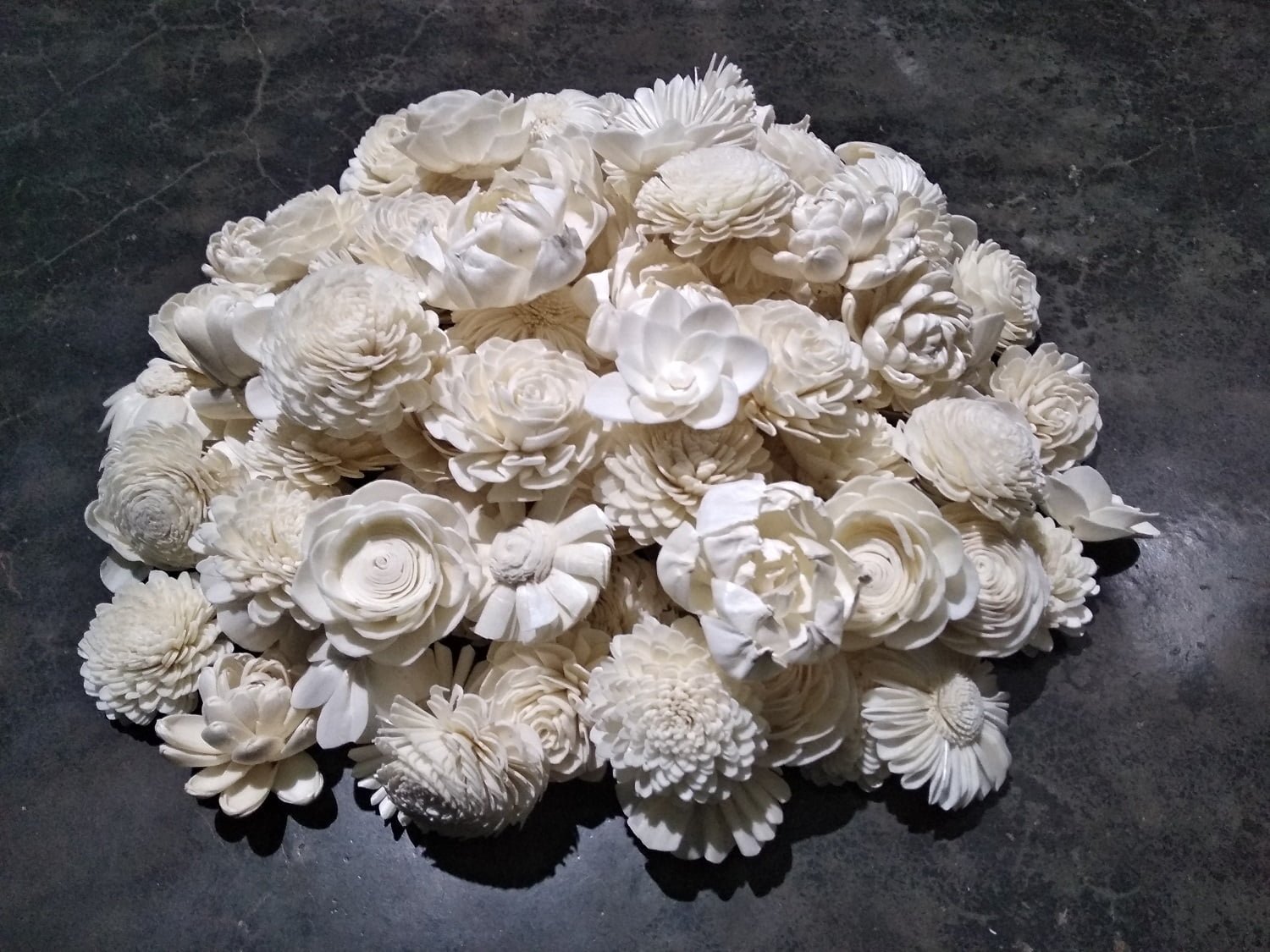 Sola Wood Flowers – SP SOLA HOUSE